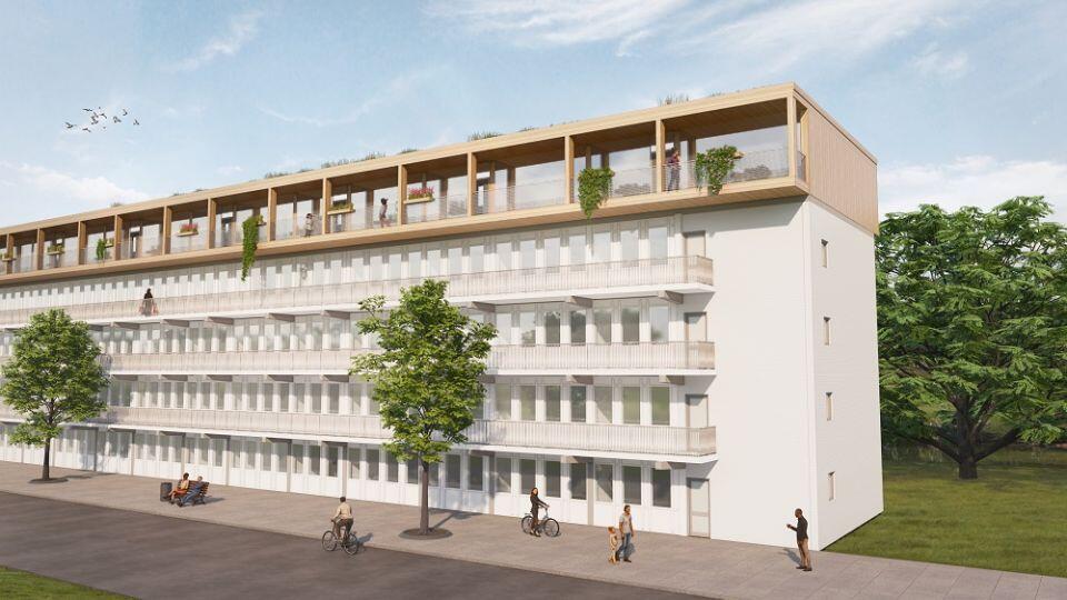 100.000 biobased optopwoningen van Nederlandse bodem, kan dat?